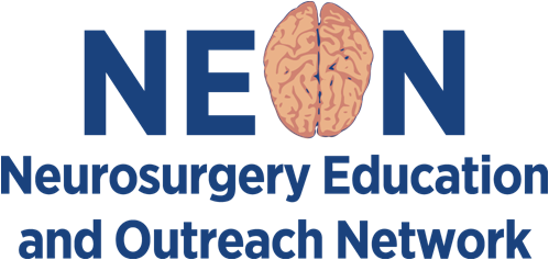 Guidelines for Basic Adult Neurological Observation