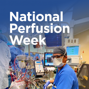 » Celebrating Cardiovascular Perfusionists